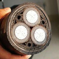 China 16/25/35/50/70/95/120/150/185 Custom Size 3-Core XLPE PVC Insulated Power Cable for Construction for sale