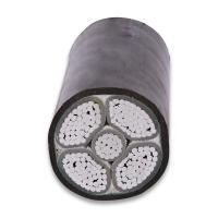 China Aluminum Conductors XLPE Power Cable 5 Cores 120mm XLPE Armored Cable for sale