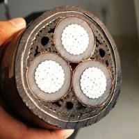 China Marine PVC Power Cable Copper Conductor 0.6-30KV for sale