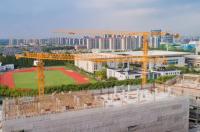 China Zoomlion W6013-6A Used Tower Crane 6 Ton 199.6m Height 60m Jib for sale