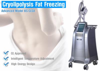 China Cryolipolysis Fat Freeze Slimming Machine for sale