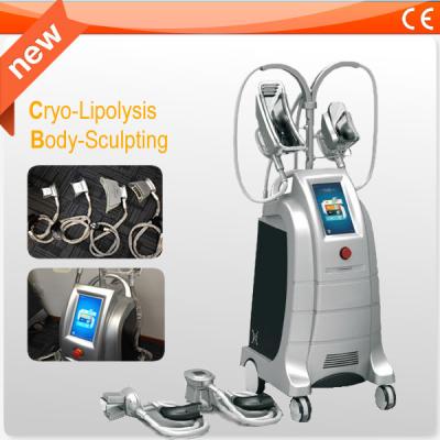 China Safety Coolsculpting Slimming Beauty Machine For Fat Reduction / Body Contouring for sale