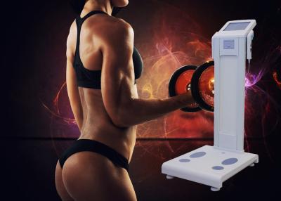 China Dual Frequencies Body Composition Analyzer With Built - In Thermal Printer for sale