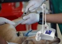 China 15W 110cm Radius Veterinary CO2 Shockwave Machine for sale