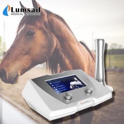 China Veterinary Equine Shockwave Machine For Animals Soft Issue / Tendon Injury for sale