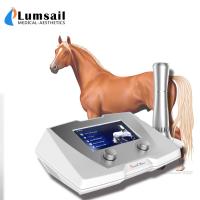 China Veterinary Treat Equine Shockwave Machine For Superficial Orthopedic Disorders for sale