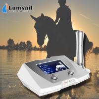 China High Intensity Equine  Extracorporeal Shock Wave Therapy Machine For Horse for sale