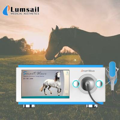 China Focused Transmitter Horse Shockwave Therapy Machine For Horse Back Pain for sale