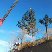 China Custom Bionic Tree Tower, Scenic Area Beautification Communication Tower, Hidden Antenna Tower for sale