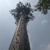China Custom Bionic Tree Tower, Scenic Area Beautification Communication Tower, Hidden Antenna Tower for sale