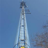 China Monopole Galvanized Steel Self Supporting Outdoor 5G 4G Satellite Landscape Telecom Tower for sale
