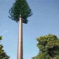 China Bionic Tree Tower Communication Tower With Hot Dip Galvanized Steel Realistic Bionic Pine Palm Tree Appearance Customizable Height for sale