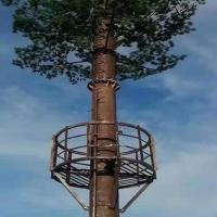 China Bionic Tree Tower Communication Tower With Hot Dip Galvanized Steel Realistic Bionic Pine Palm Tree Appearance Customizable Height for sale