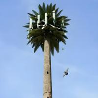 China Bionic Tree Tower Communication Tower With Hot Dip Galvanized Steel Realistic Bionic Pine Palm Tree Appearance Customizable Height for sale