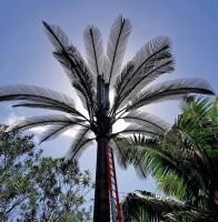 China Realistic Bionic Tree Tower with customizable height and high strength corrosion resistant steel combining communication and landscape aesthetics for sale