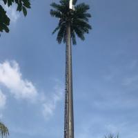 China Customizable height Bionic Tree Tower with wind resistant steel structure and natural tree appearance ideal for communication in national parks for sale
