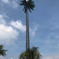 China Customizable height Bionic Tree Tower with wind resistant steel structure and natural tree appearance ideal for communication in national parks for sale