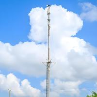 China Q235/Q355/Q420 30m Self-Supporting Steel Monopole Tower for Telecom Communication & Wifi for sale