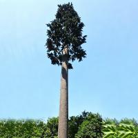 China Hot dip galvanized Bionic Tree Tower with lifespans exceeding 30 years providing communication infrastructure with natural tree appearance for sale