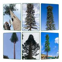 China Hot dip galvanized Bionic Tree Tower with lifespans exceeding 30 years providing communication infrastructure with natural tree appearance for sale
