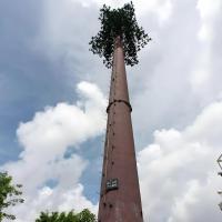 China High strength steel Bionic Tree Tower with realistic pine palm and banyan shapes customizable height from 10 to 60 meters for communication needs for sale