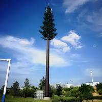 China Customizable height Bionic Tree Tower featuring high strength steel and hot dip galvanized anti corrosion surface treatment for long lasting for sale