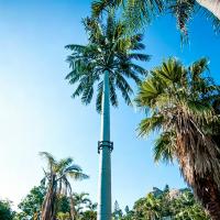 China Bionic Tree Tower with customizable height and realistic tree shapes made from steel and hot dip galvanized for enhanced durability for sale