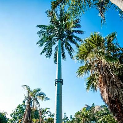 China Bionic Tree Tower with customizable height and realistic tree shapes made from steel and hot dip galvanized for enhanced durability for sale