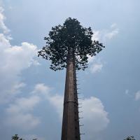 China Customizable Bionic Tree Tower designed for communication function and natural landscape blending with wind resistance up to 55 meters per second for sale