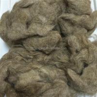 China Scoured Brown Wool Waste for Spinning Yarn or Insulation for sale