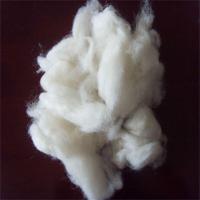 China Wool Waste for sale