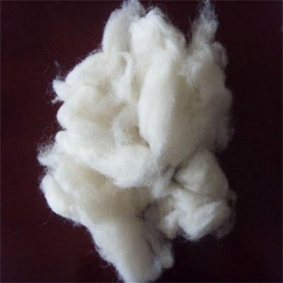 China Wool Waste for sale