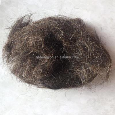 China Washed Good Quality Clean Horse Hair for Mattress or Rope for sale