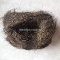 China Washed Horse Hair  for Mattress for sale