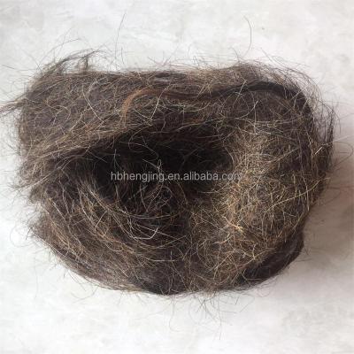 China Washed Horse Hair  for Mattress for sale