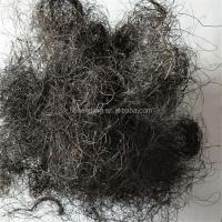 China Washed Good Quality Clean Curly Horse Hair for Mattress for sale