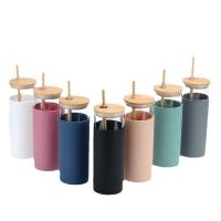 China Nontoxic Silicone Water Bottle Transparent Glass With Silicone Straw Bamboo Lids for sale