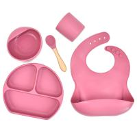 China Durable Weaning Silicone Feeding Set 5pcs In 1 Set Reusable Harmless for sale