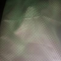 China 70D 100% Nylon Grid Fabric with Flocking & Luminous Finish for Sunscreen & Down Jackets for sale