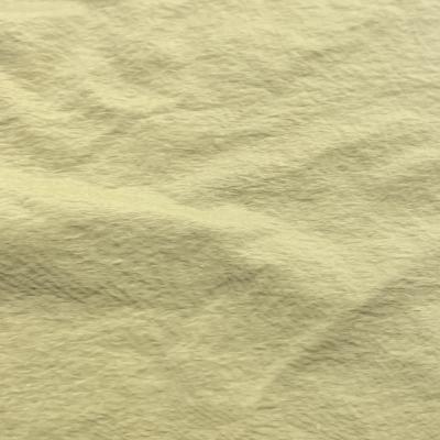 China 100% Nylon 10D 26gsm Double Layered Sunscreen Fabric for Protective Clothing for sale