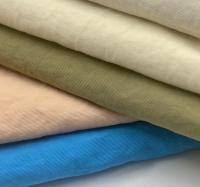 China 100GSM 100% Nylon Taslon Fabric for Outdoor Apparel - Waterproof Windbreaker & Beach Pants Material for sale