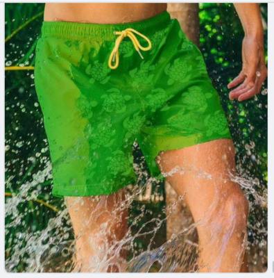 China 100% Polyester Suede Peach Skin Fabric with Waterproof Treatment for Beach Pants - 650mm Width for sale
