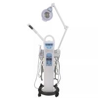 China Professional Microdermabrasion Beauty Machine 10 In 1 Blackhead Remover for sale