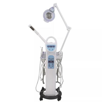China Professional Microdermabrasion Beauty Machine 10 In 1 Blackhead Remover for sale