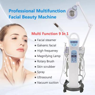 China Professional 9 Functions Hot Facial Steamer Skin Care Ultrasonic Solution Absorption for sale