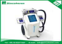 China Fat Freeze Slimming Machine Non Invasive With 3 Cryo Applicators for sale