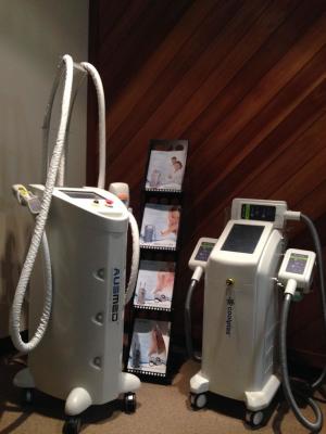 China Fast Fat Reduction Sincoheren Fat Freezing Machine With Lcd Touch Screen for sale