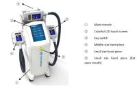 China Fat Freezing Body Slimming Cryotherapy Weight Loss Machine Painless for sale