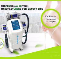 China Cool Shaping  Fat Freezing Machine Multi Language Floor Standing for sale