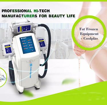 China Cool Shaping  Fat Freezing Machine Multi Language Floor Standing for sale